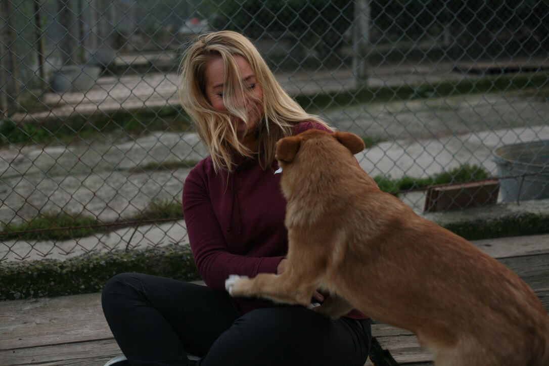 Karen’s blog: Ik nam de verkeerde beslissing - Animals Today