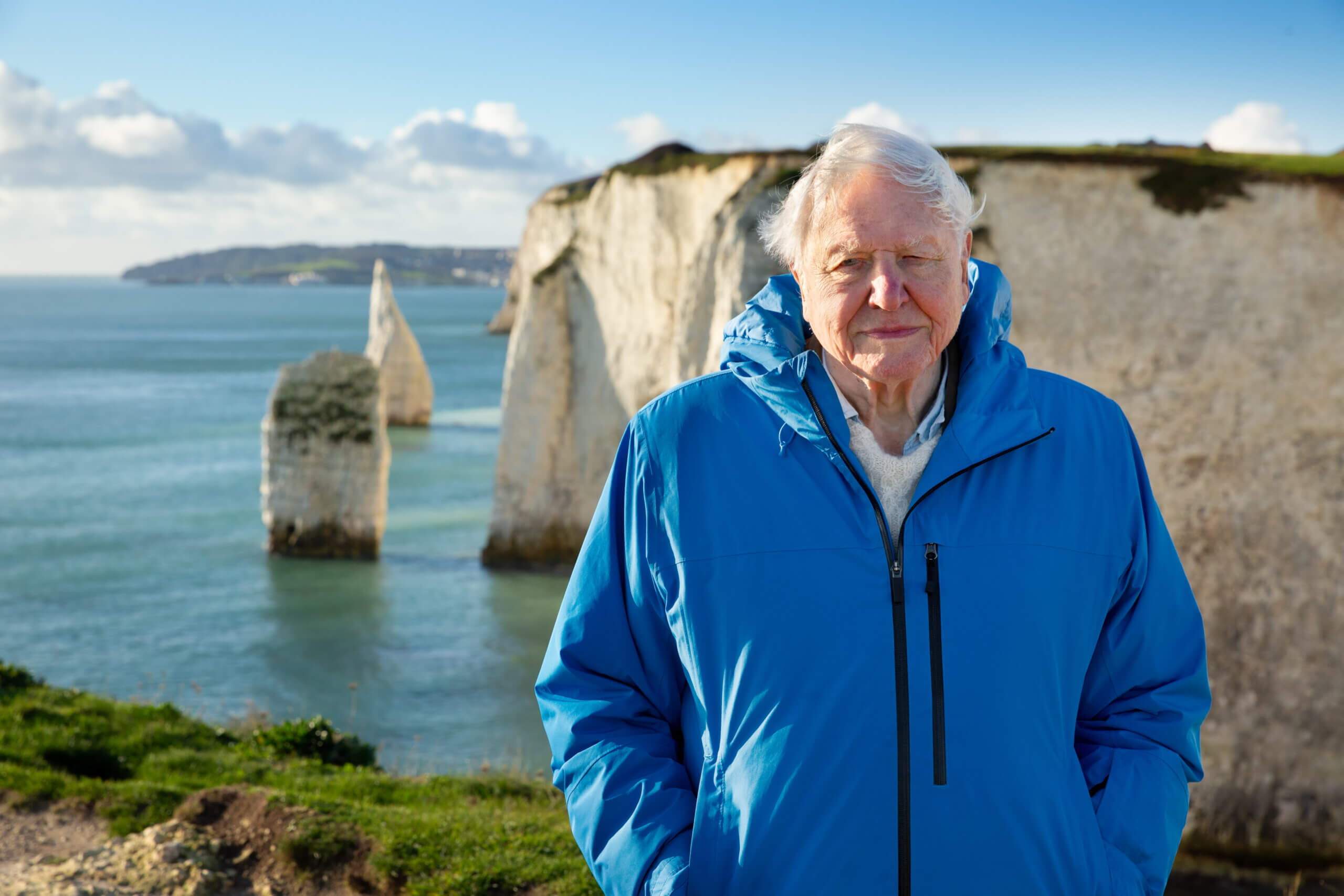 Filmrecensie: Ocean met Sir David Attenborough (met trailer) - Animals ...