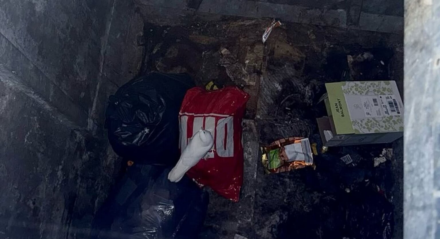 Bruiloftsduiven: romantisch plaatje rampzalig voor dieren - Animals Today