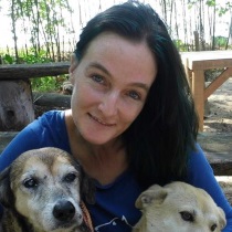 Femke den Haas - Animals Today